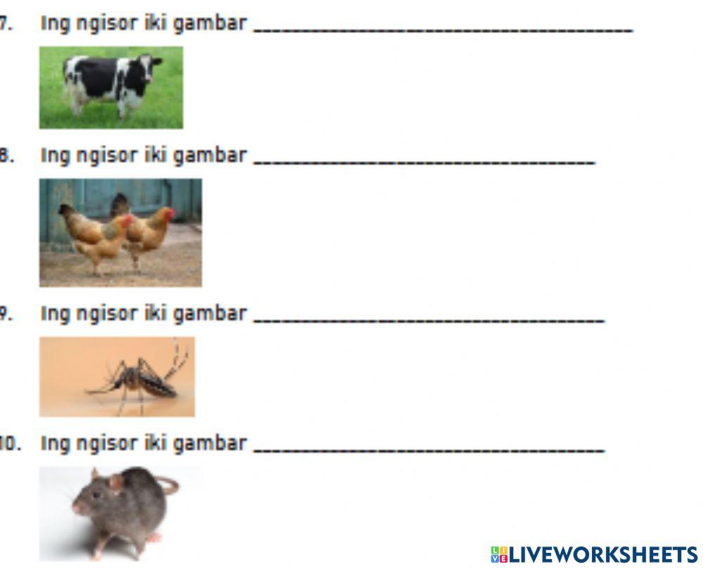 1762814 | Jeneng kewan | DIONO WICAKSONO