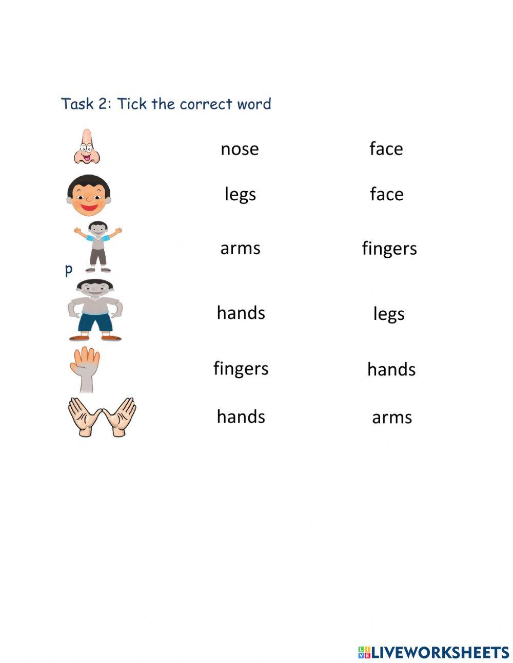 Nose, face, han… | Free Interactive Worksheets | 1706567
