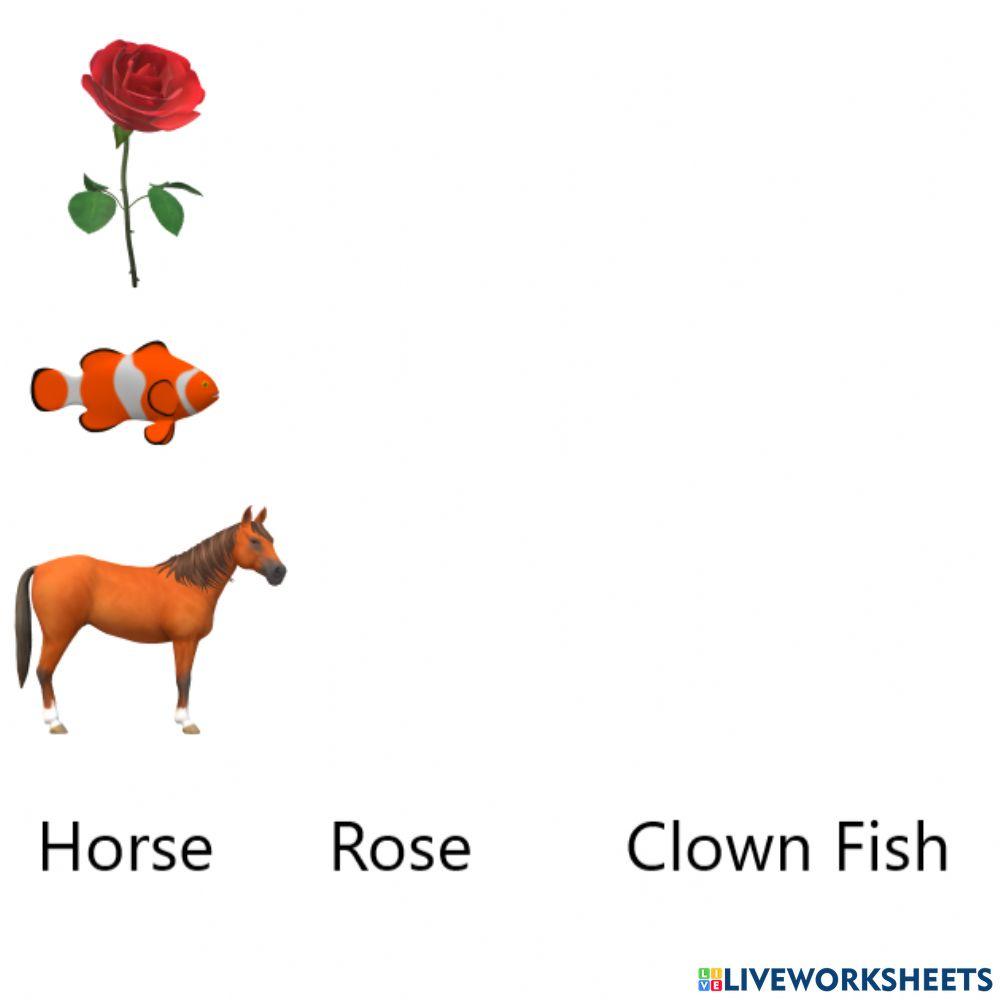 Things online pdf exercise for Grade 1 | Live Worksheets