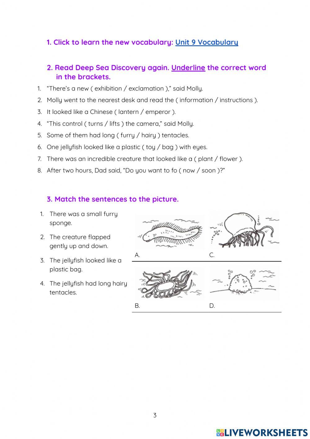 J5B Unit 9 Reading worksheet | Live Worksheets