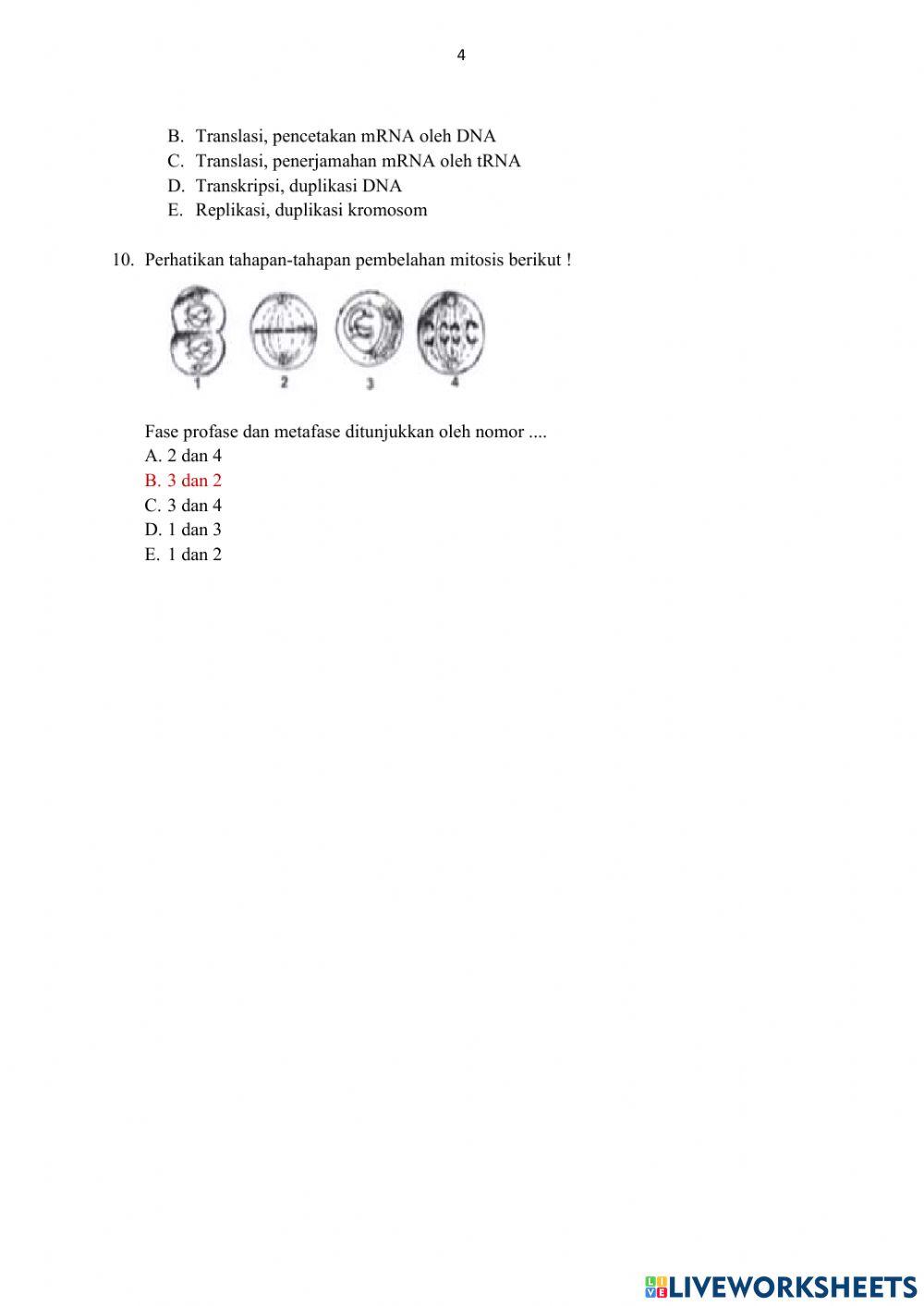 LATIHAN PG online exercise for | Live Worksheets