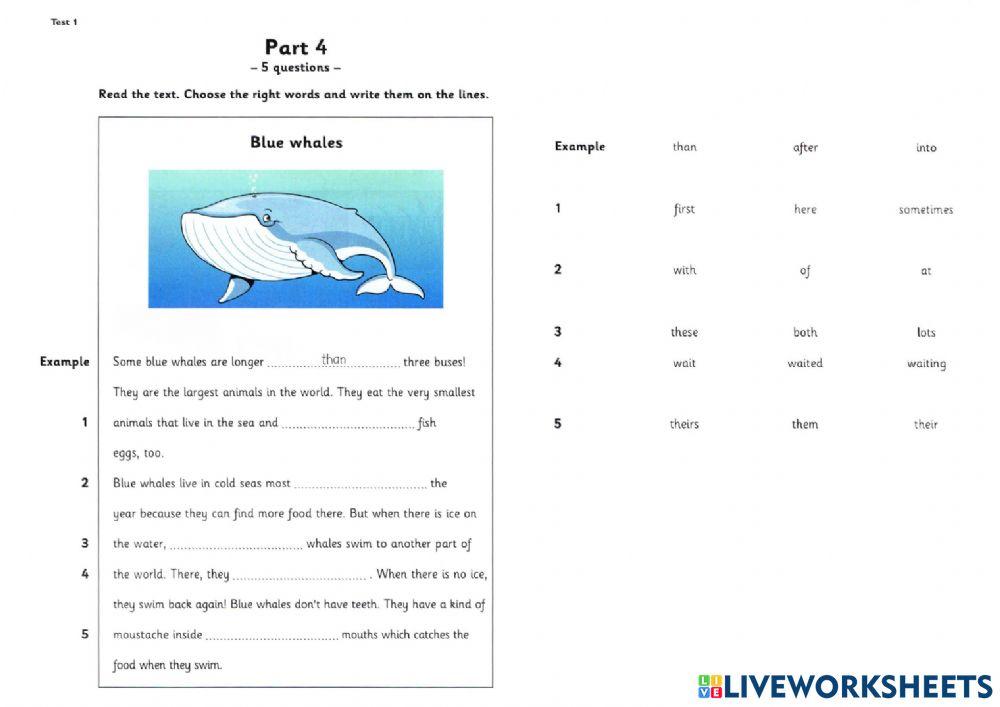 Movers-2-authen… | Free Interactive Worksheets | 2649976