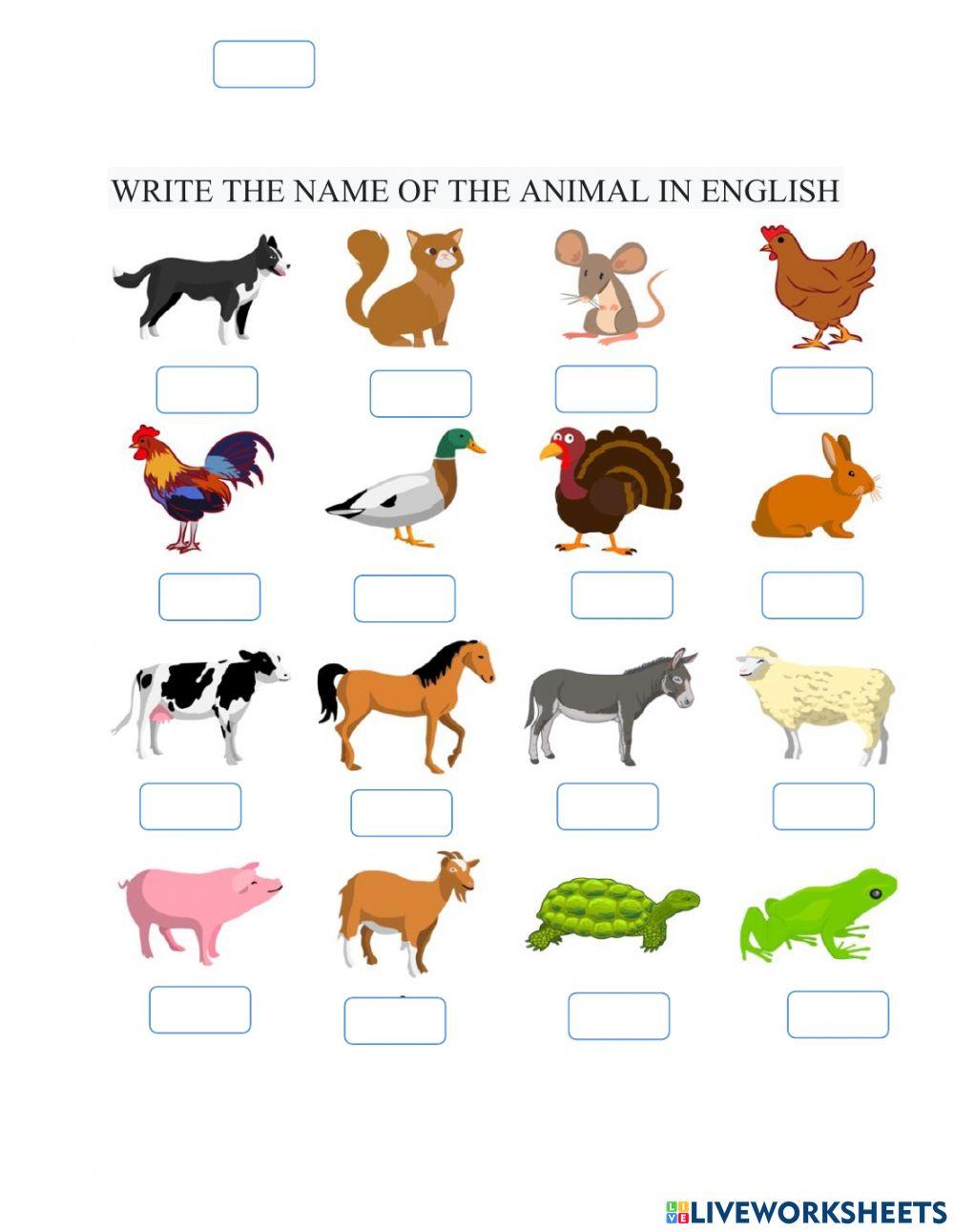 Tha animals worksheet | Live Worksheets