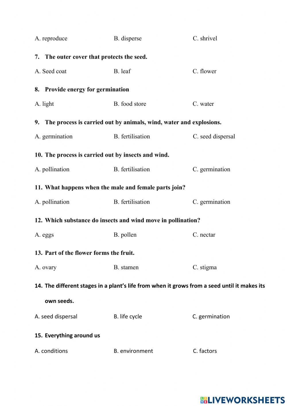 General revision - week 12 worksheet | Live Worksheets