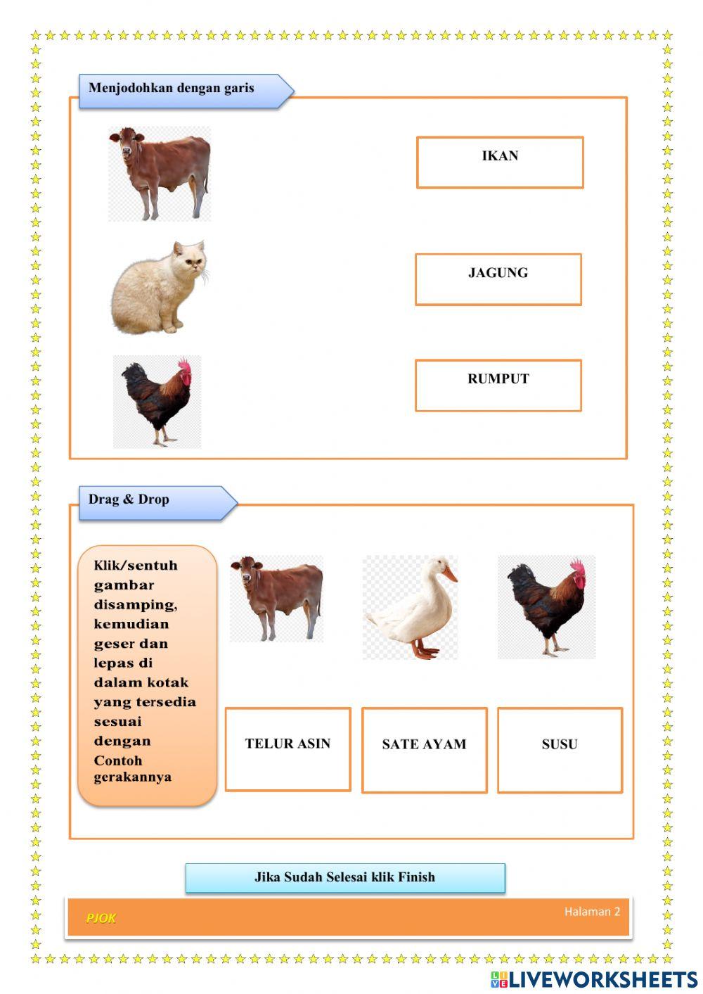 Pengenalan binatang worksheet | Live Worksheets