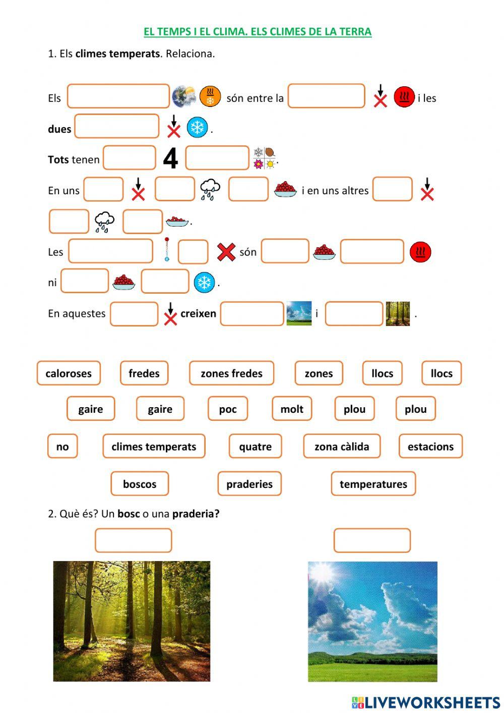 El temps i el clima. Els climes de la Terra 11 worksheet | Live Worksheets