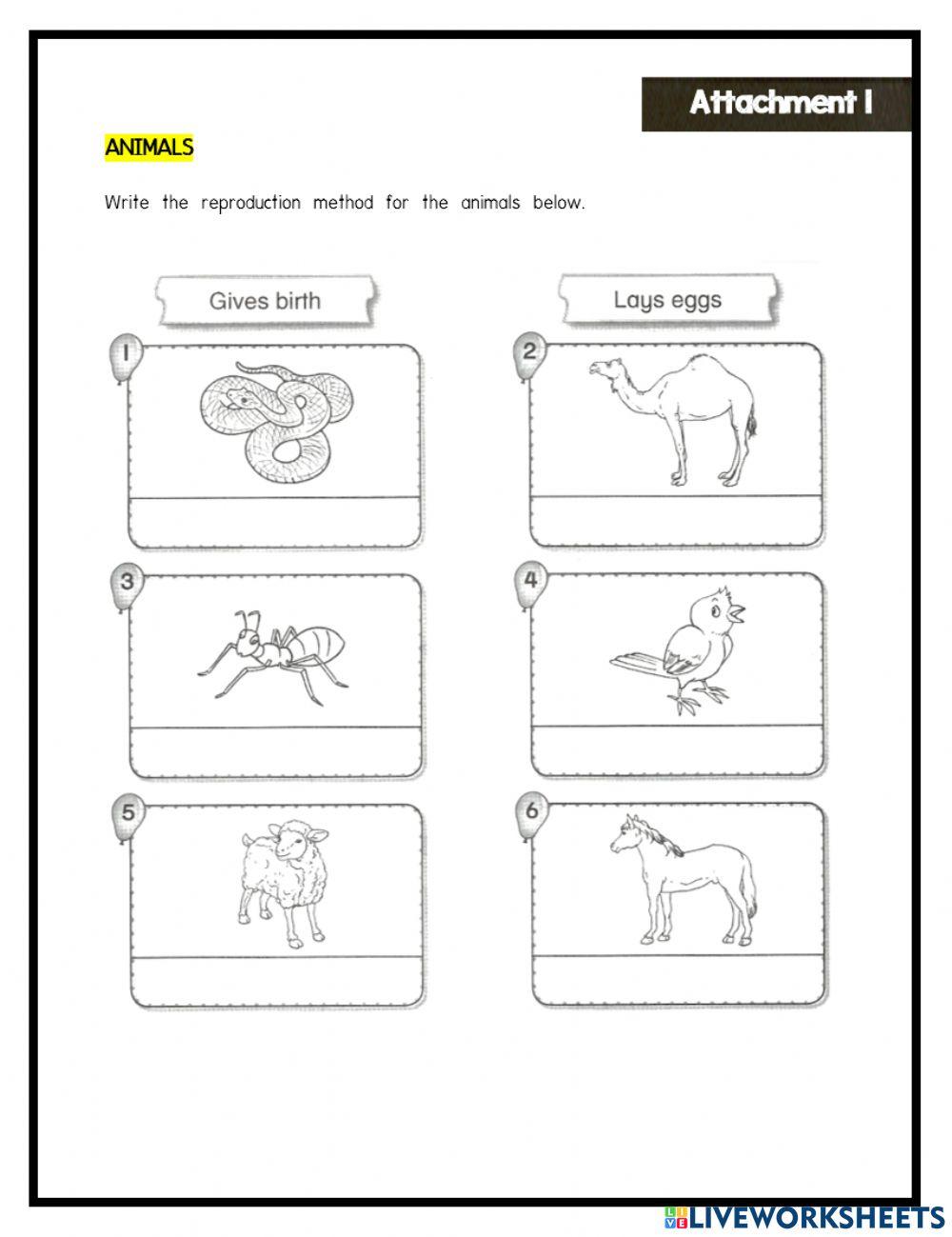 SCIENCE YEAR 2 | syahrulbariyahanji | Live Worksheets