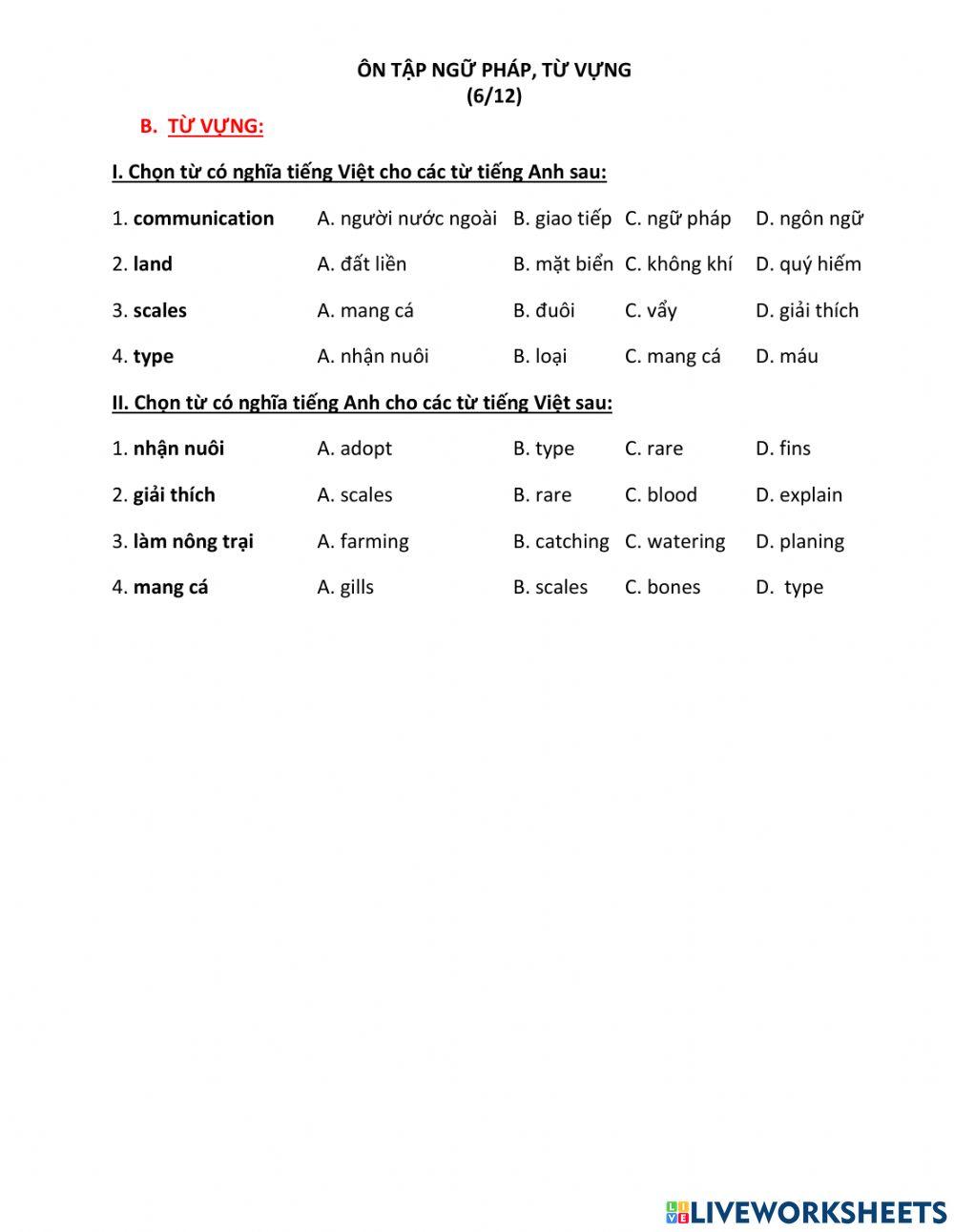 Grammar and New Words Test (December 6th) online exercise for | Live ...