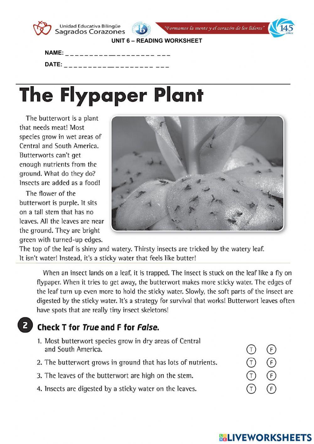The Flypaper Pl… | Free Interactive Worksheets | 1711843
