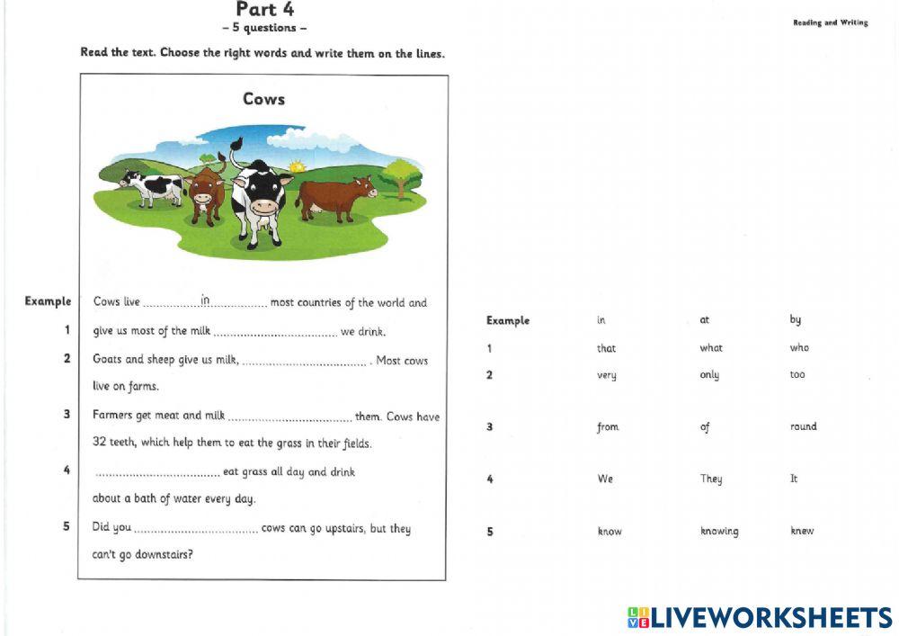 MOVERS-1-authen… | Free Interactive Worksheets | 2649902