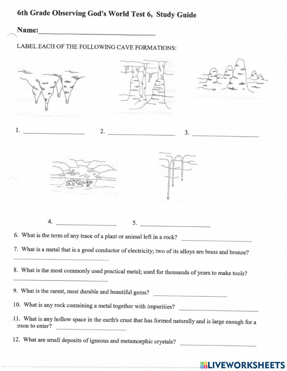Science Test 6 Group D online exercise for | Live Worksheets