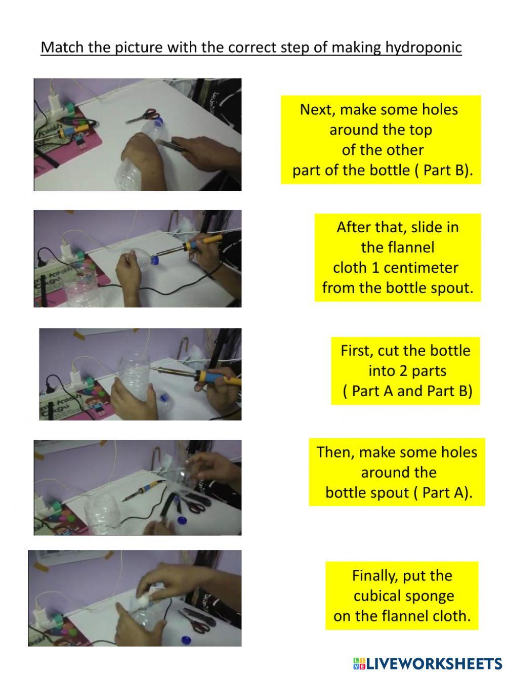 Hydroponic | Free Interactive Worksheets | 1713372