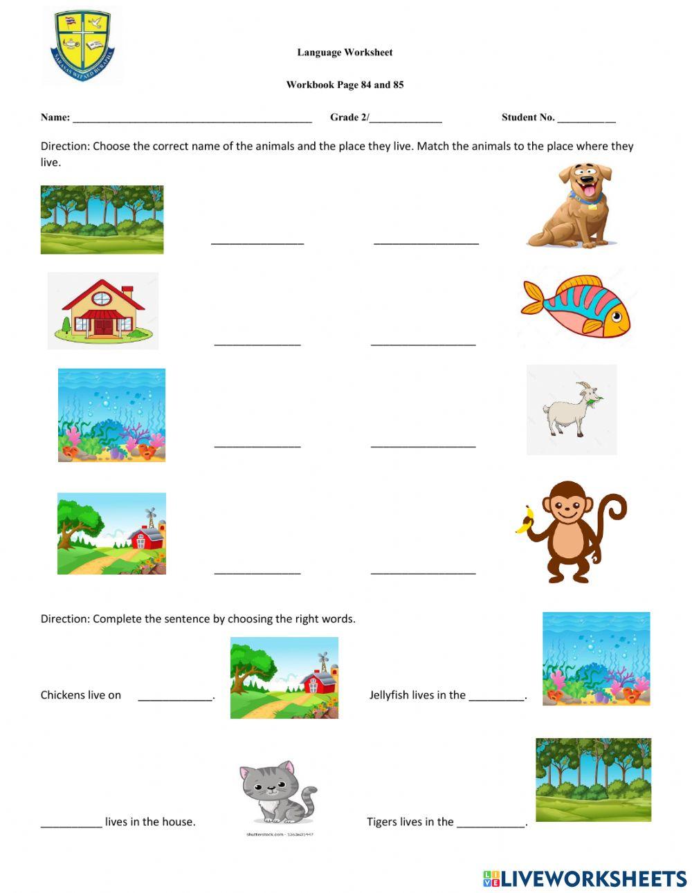 Animals (Review) worksheet | Live Worksheets