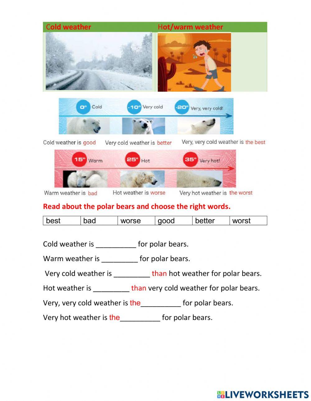 Irregular adjectives 1715139 | cynthia | LiveWorksheets