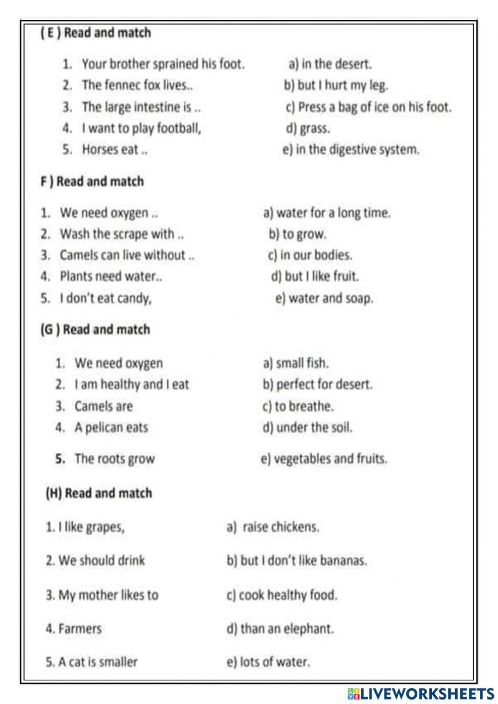 connect 4 first… | Free Interactive Worksheets | 3504069