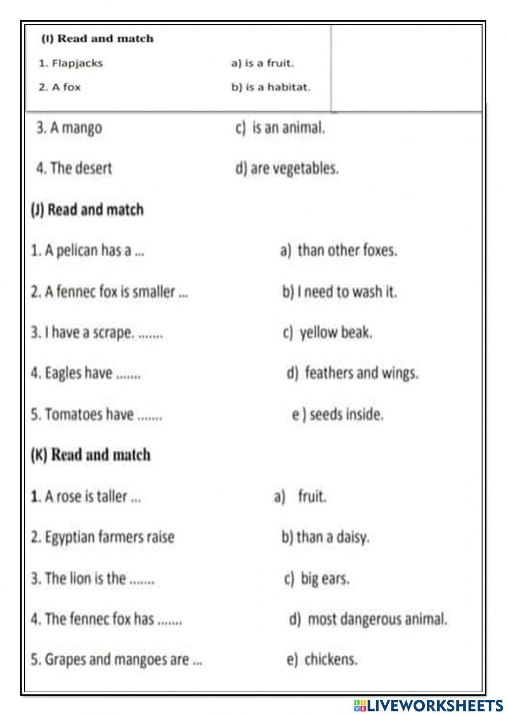 connect 4 first… | Free Interactive Worksheets | 3504069