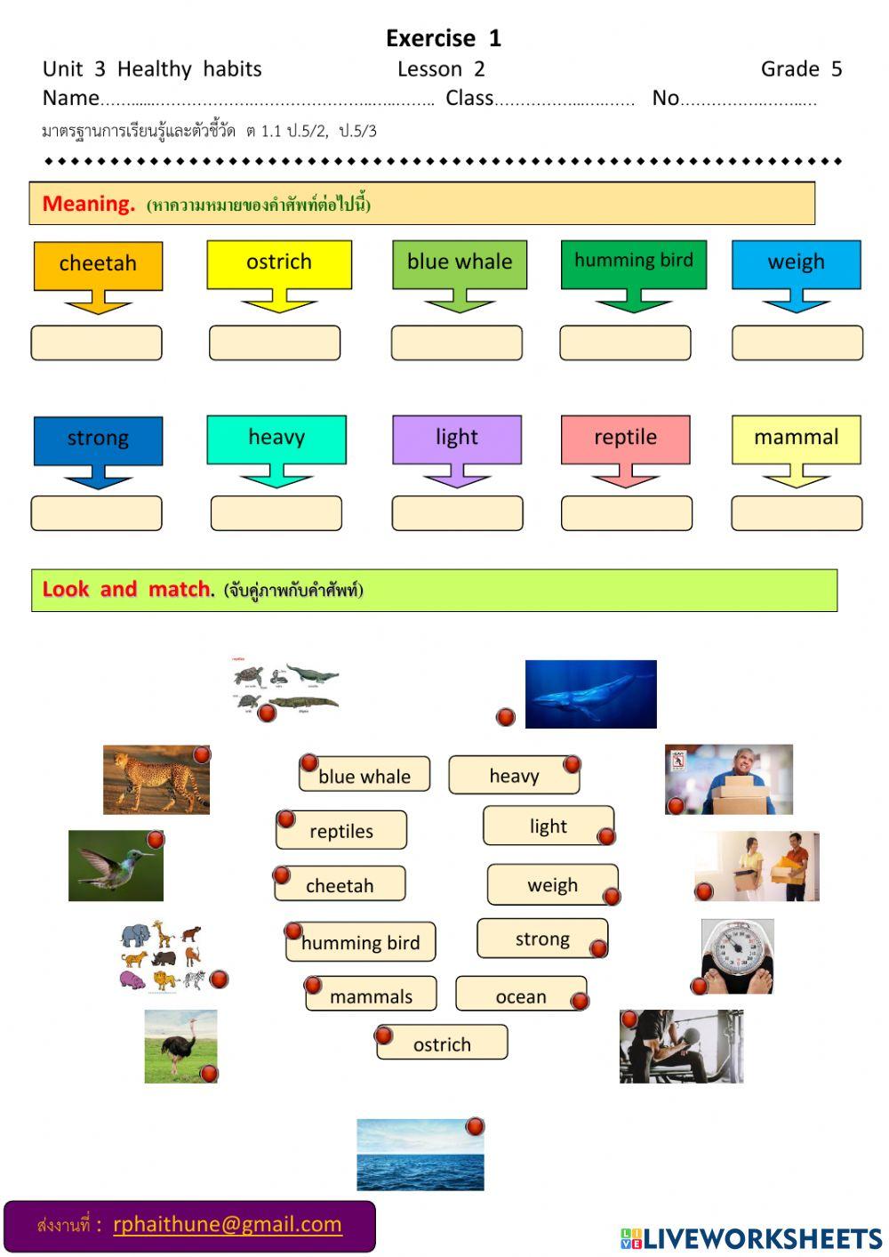 8 Dec.exercise1 G.5 3991630 | rphaithun | Live