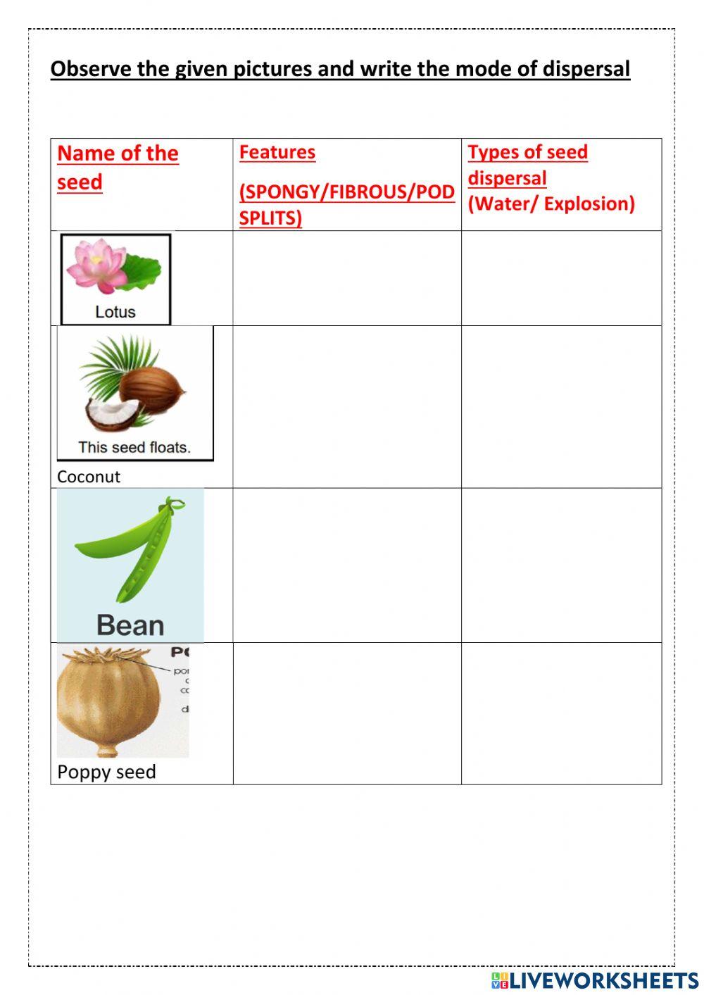 Dispersal of se… | Free Interactive Worksheets | 1716262