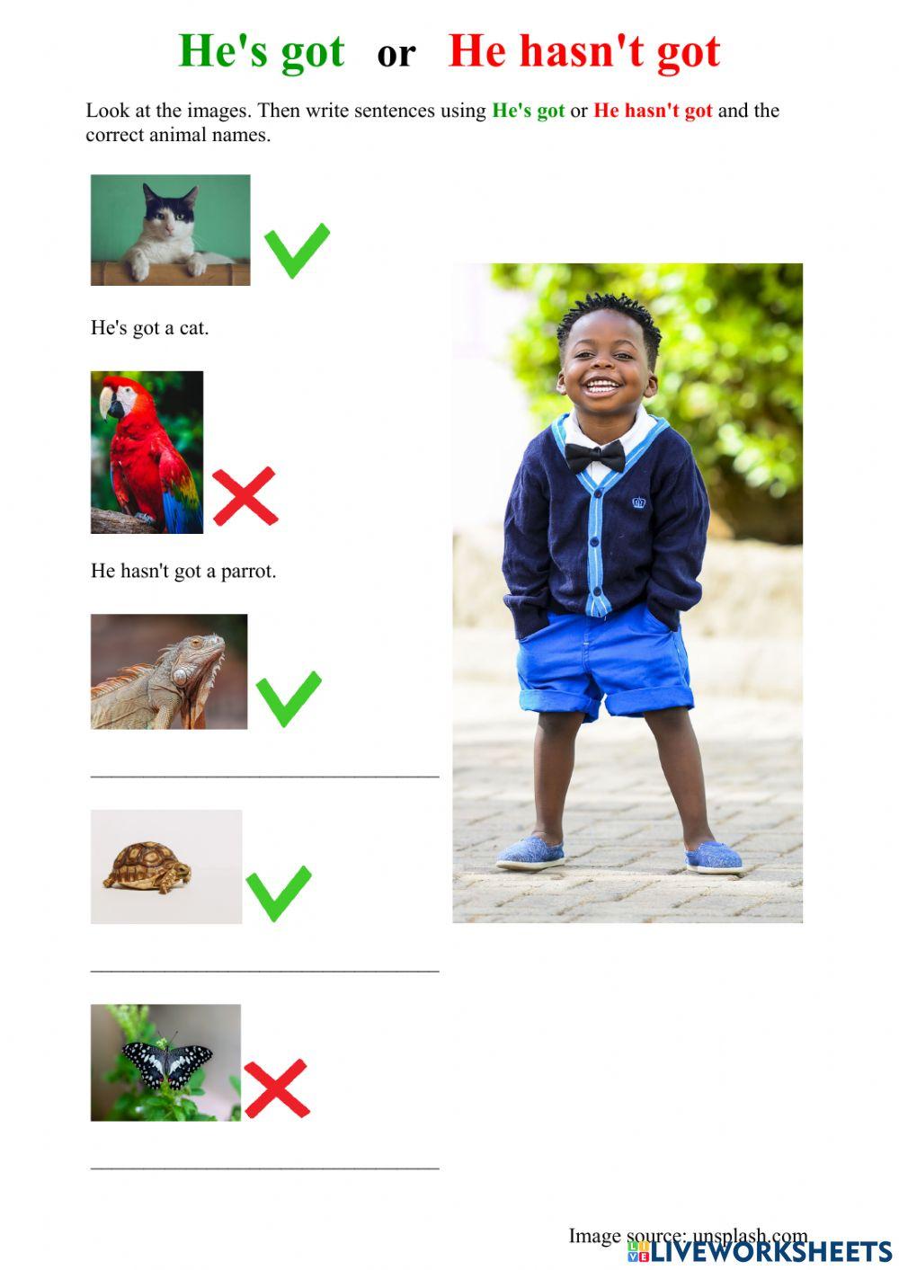 1716285 | He's got - He hasn't got animals | Marta_G_123