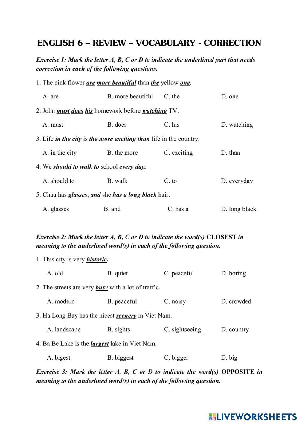 E6-review-correction-vocabulary 0833 | huyenthuanthutri