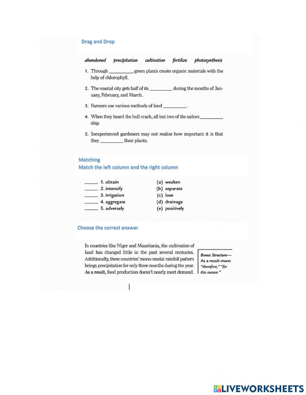 Vocabulary exercise 1 interactive worksheet | Live Worksheets