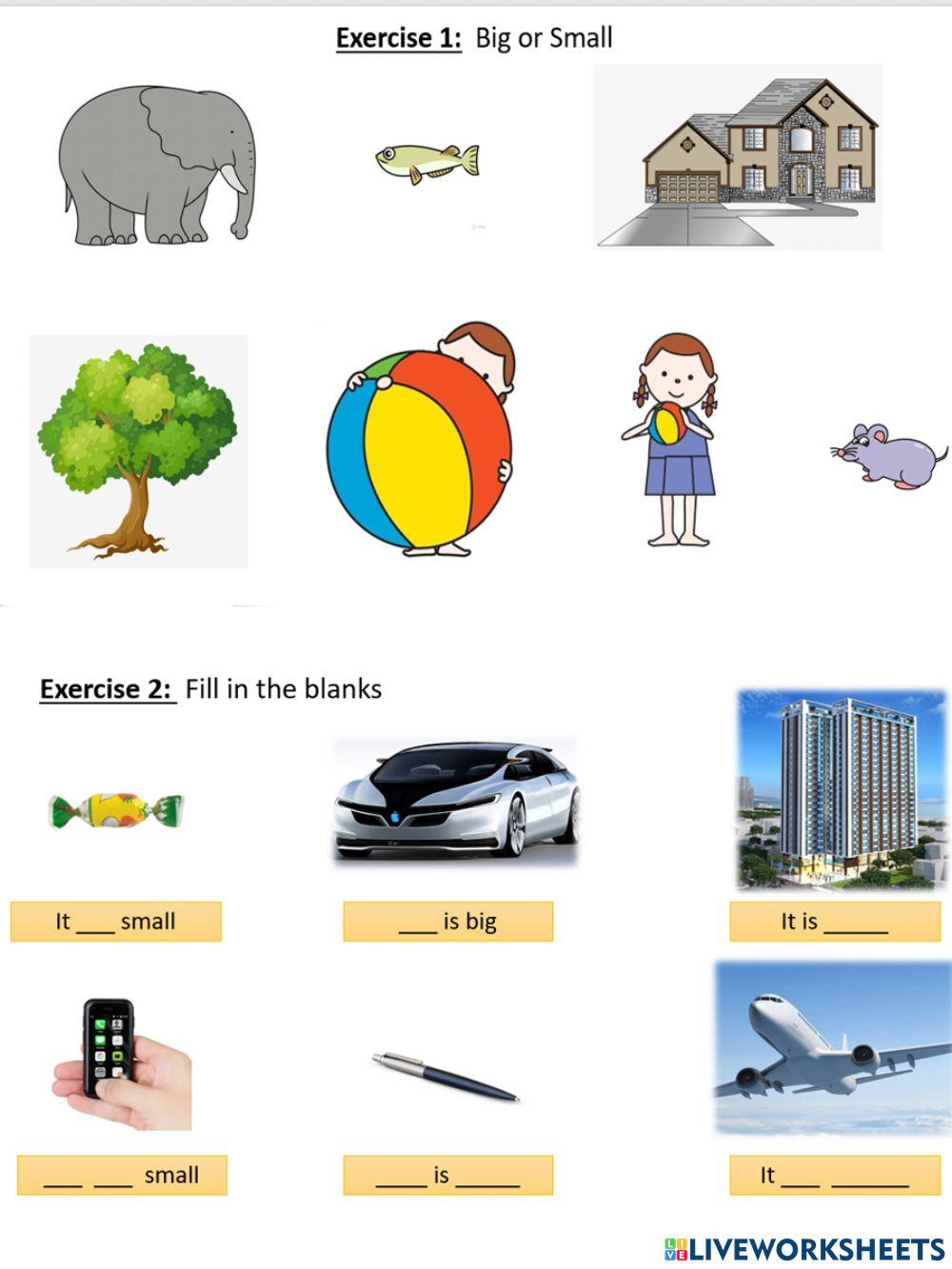 Big or Small interactive exercise for g3 | Live Worksheets