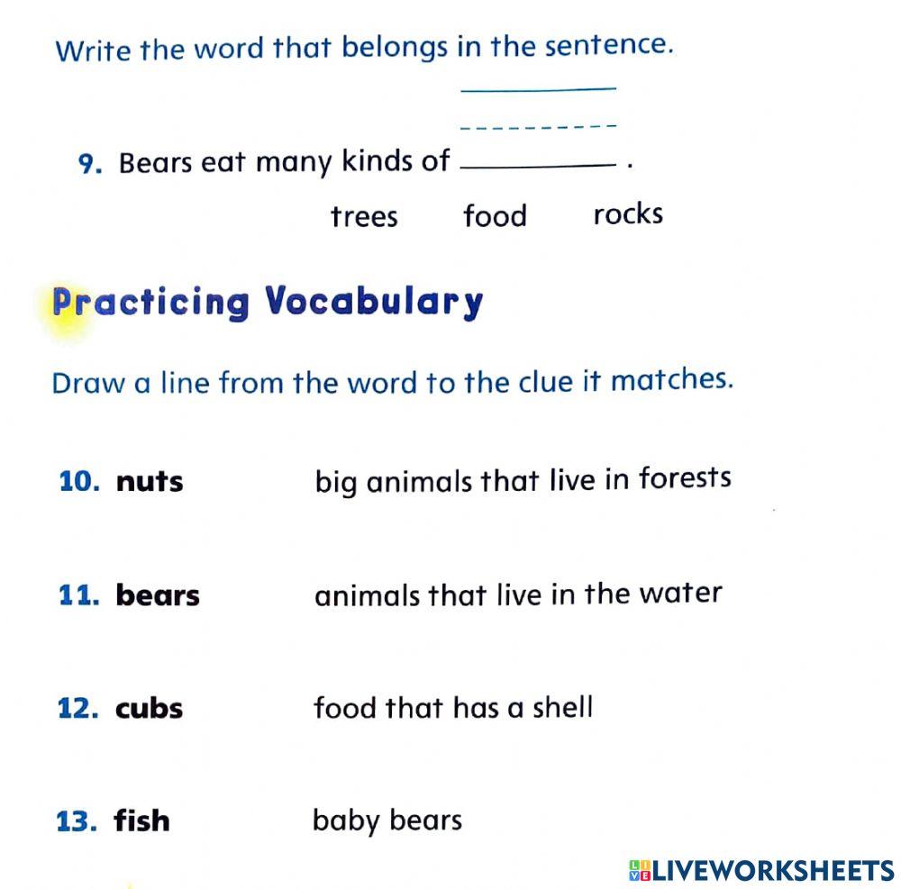 Using Details worksheet | Live Worksheets