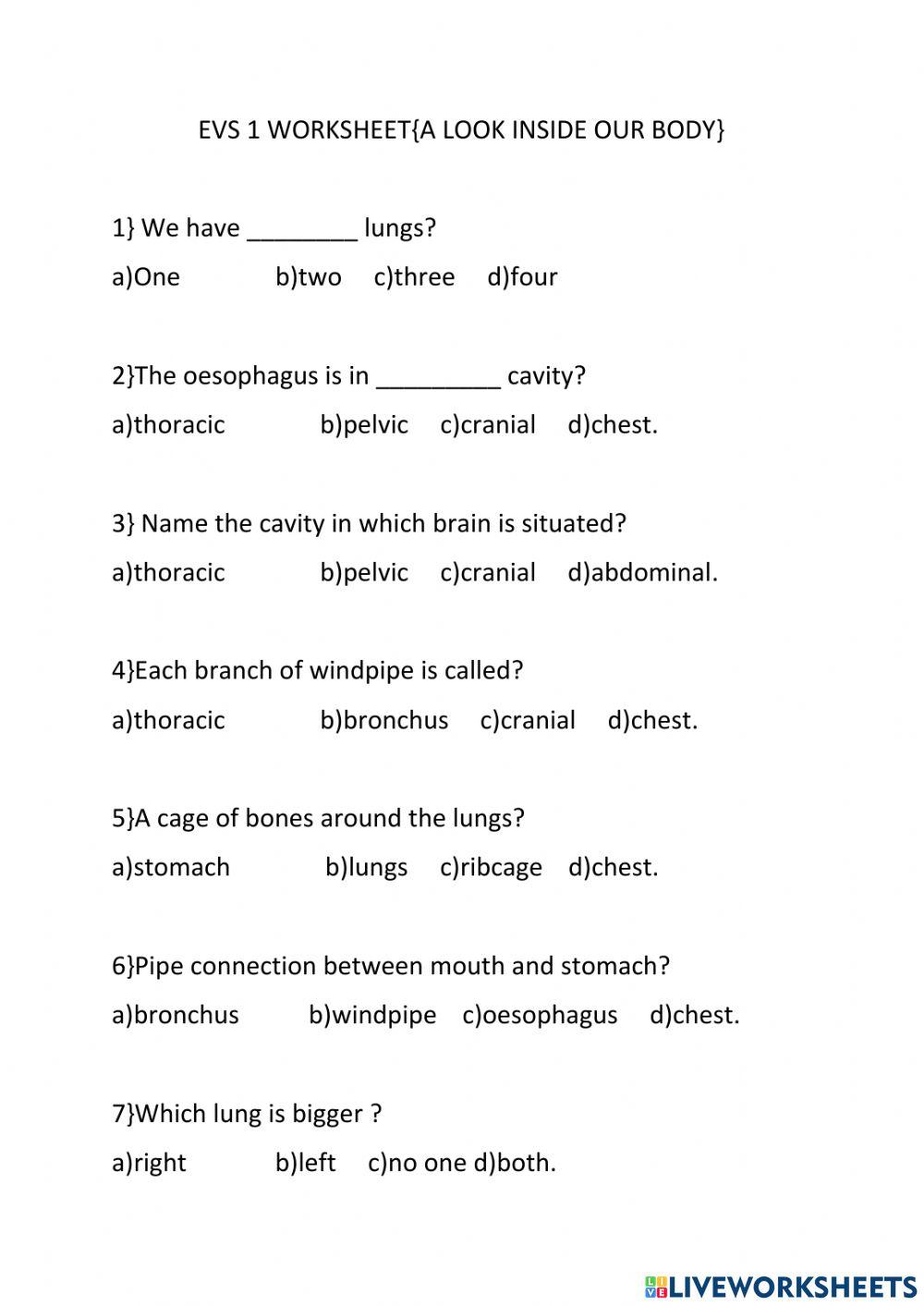 EVS 1 GRADE 4 LIVE WORKSHEET worksheet | Live Worksheets