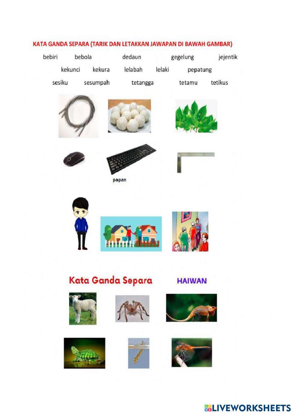 Kata Ganda Separa online exercise for | Live Worksheets