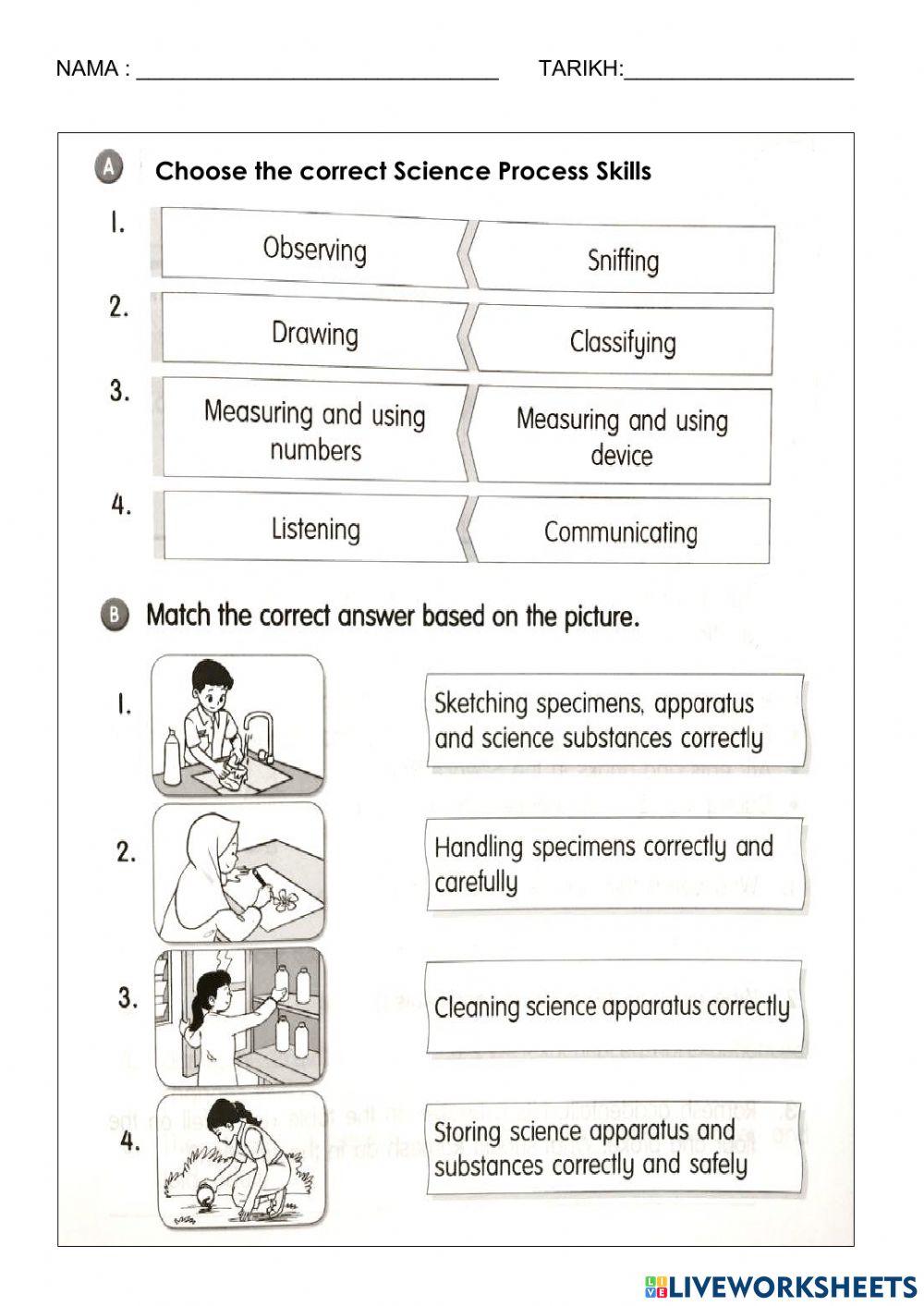 Assessment online exercise for Year 2 | Live Worksheets