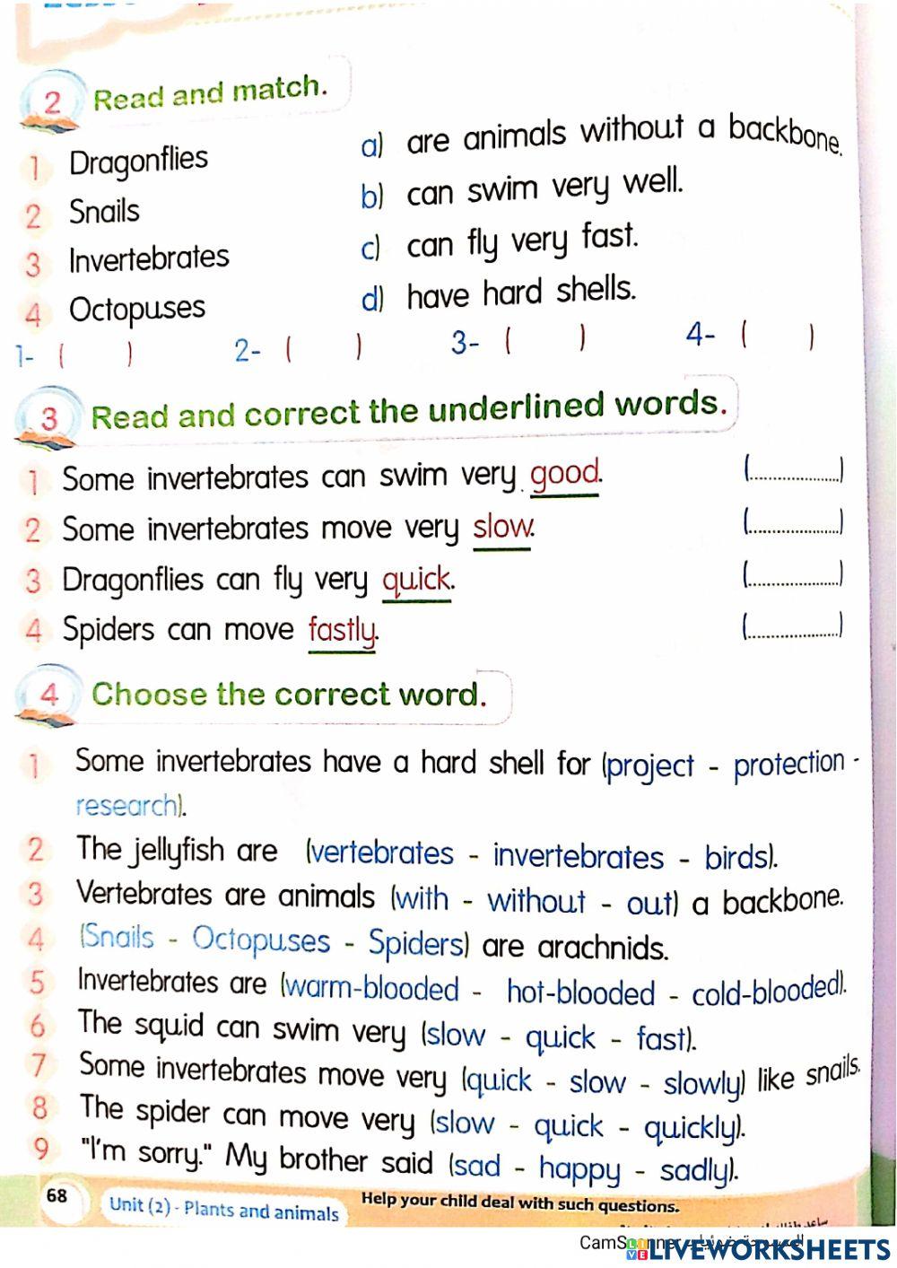 Pg 68 worksheet | Live Worksheets