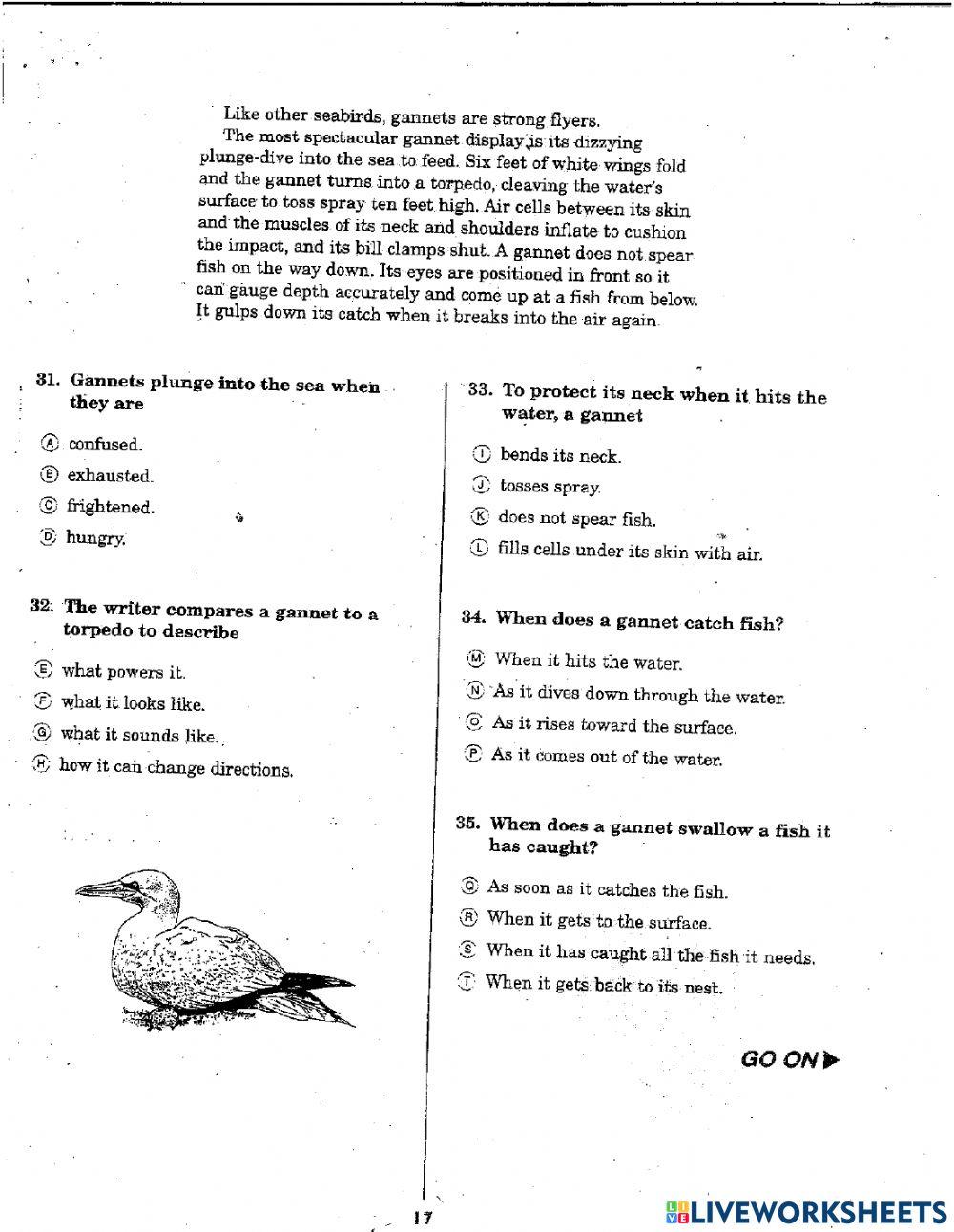 Reading Test part 2 online exercise for | Live Worksheets
