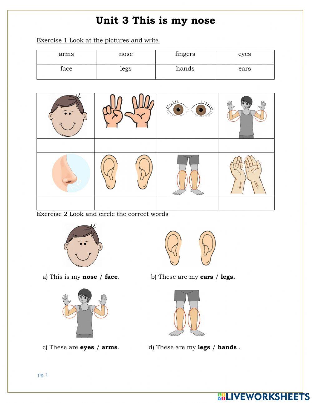 Practice Unit 3 - Grade 3 worksheet | Live Worksheets