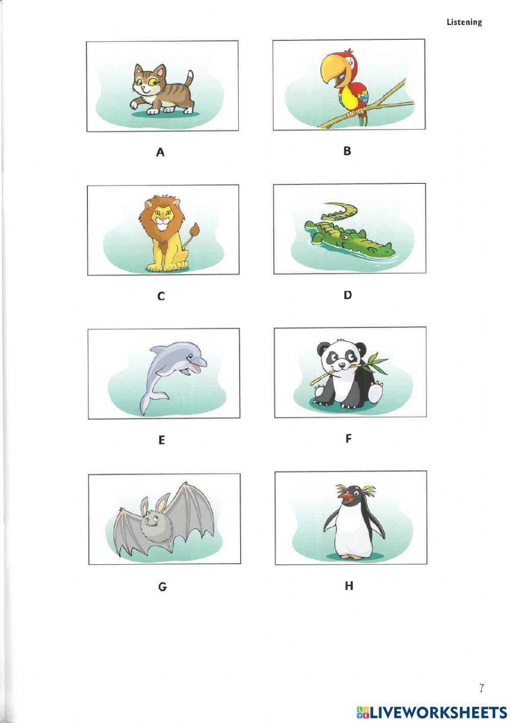 Movers-3-authen… | Free Interactive Worksheets | 2649946