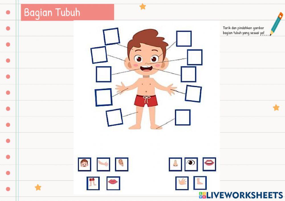 Sex Edu Tk Gpm Online Exercise For Live Worksheets