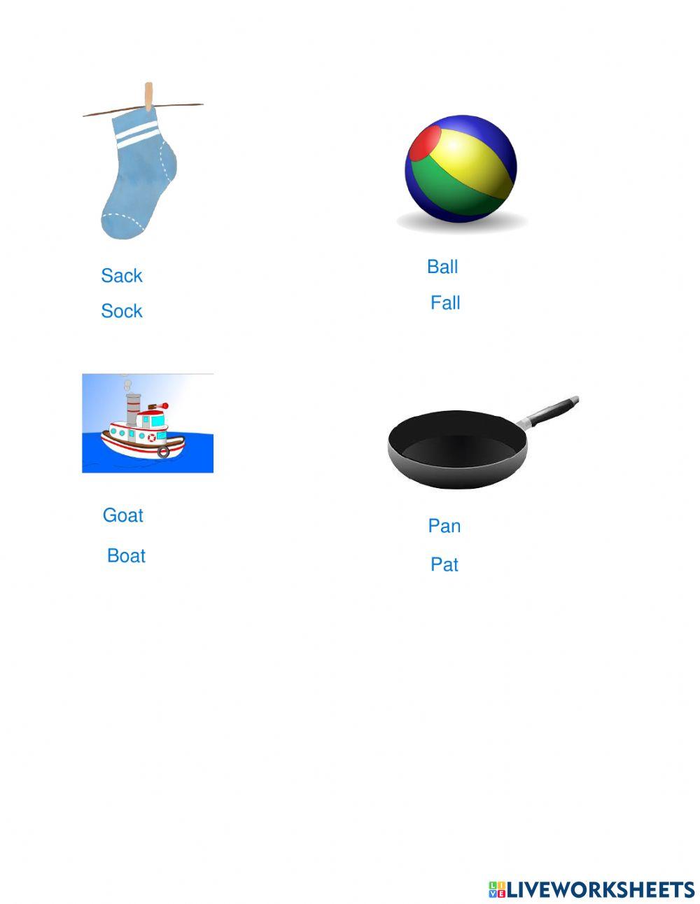 Find the correct word worksheet | Live Worksheets