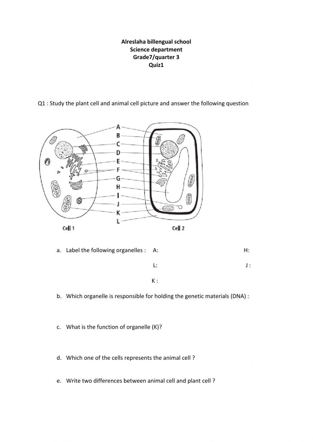 682375 | Cells | chemE | LiveWorksheets