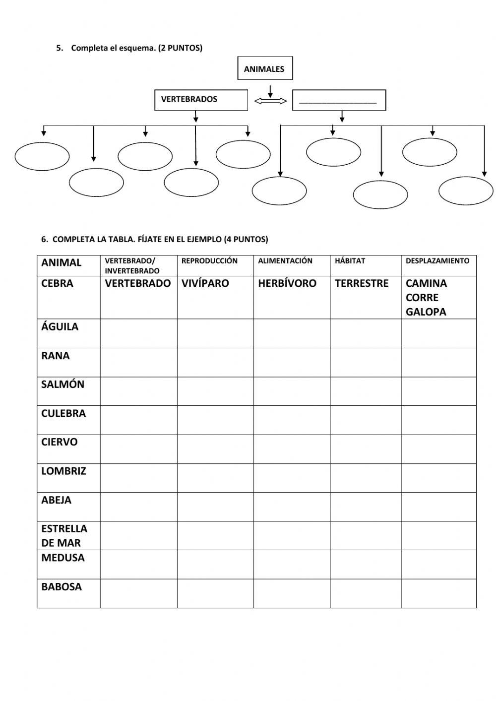 Clasificación seres vivos worksheet | Live Worksheets