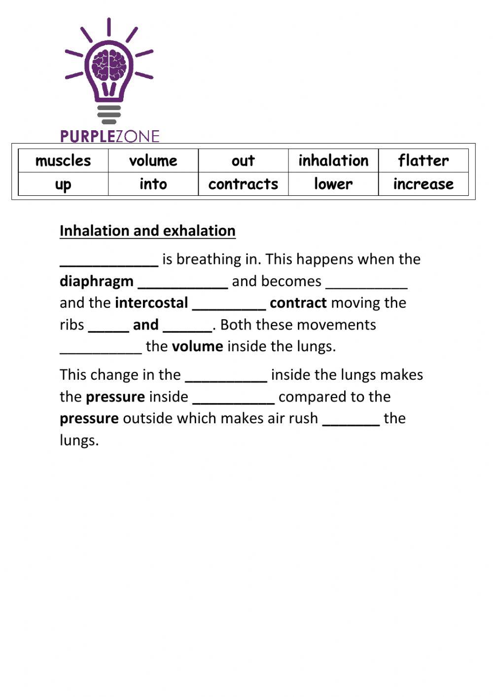 Breathing | Free Interactive Worksheets | 683287