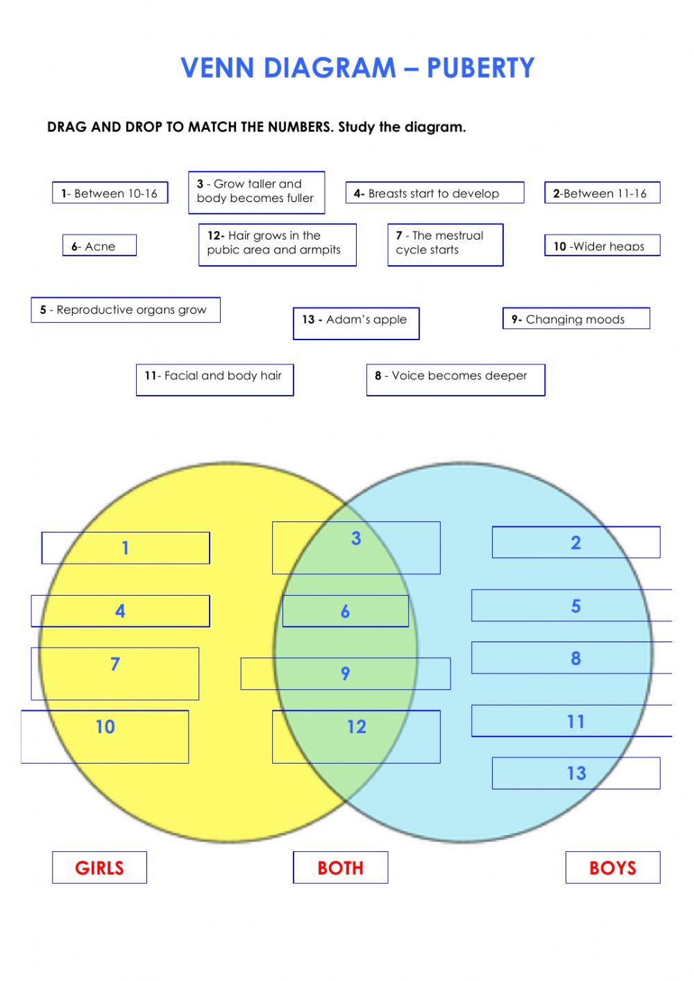 Puberty in boys… | Free Interactive Worksheets | 684620