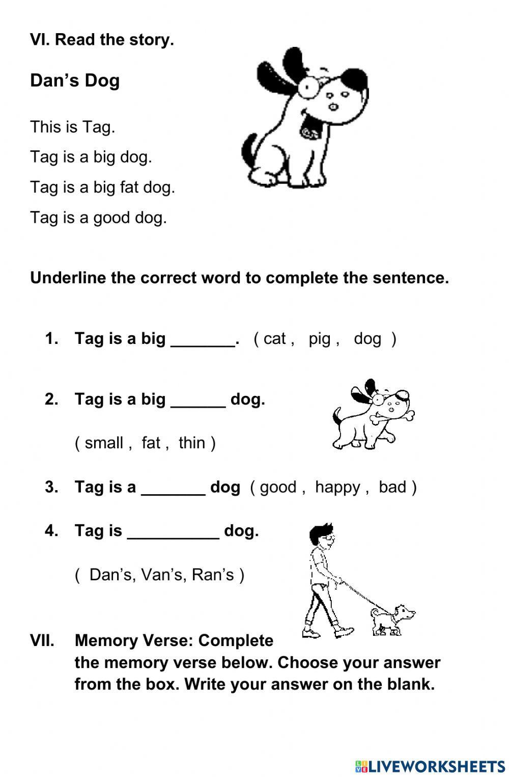 Reading SK worksheet | Live Worksheets