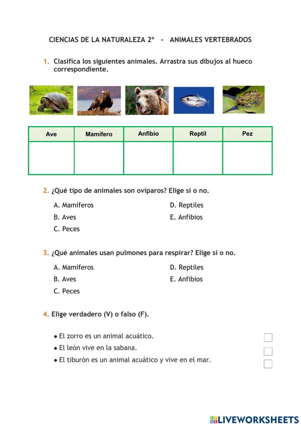 Animales vertebrados free exercise | Live Worksheets