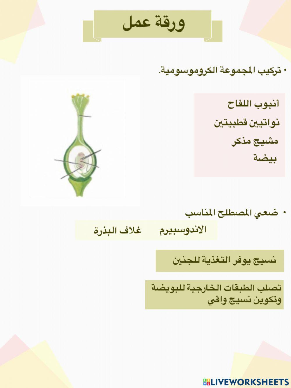 Biology liveworksheets worksheet | Live Worksheets