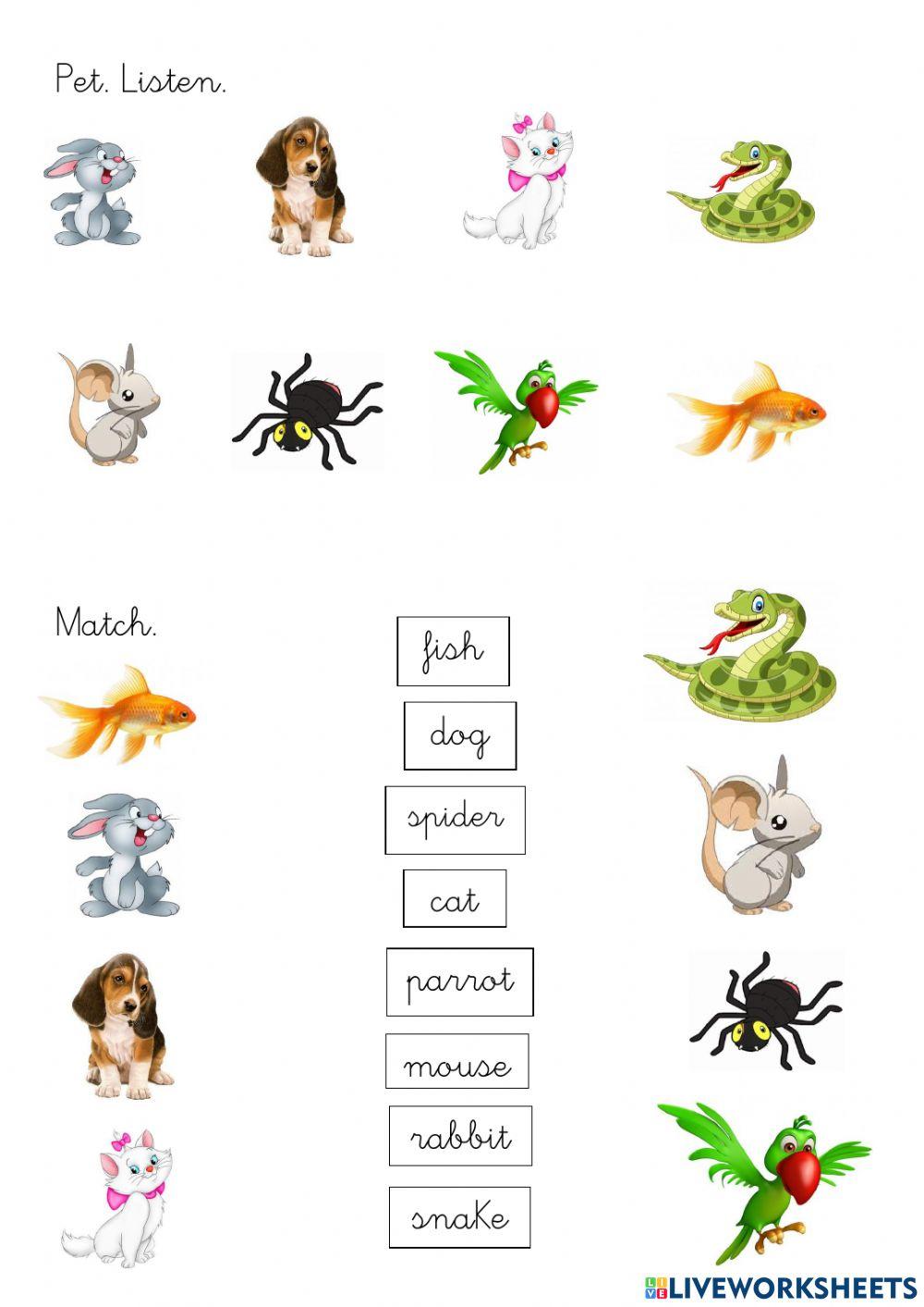 Pet worksheet for PRIMER DE PRIMÀRIA | Live Worksheets