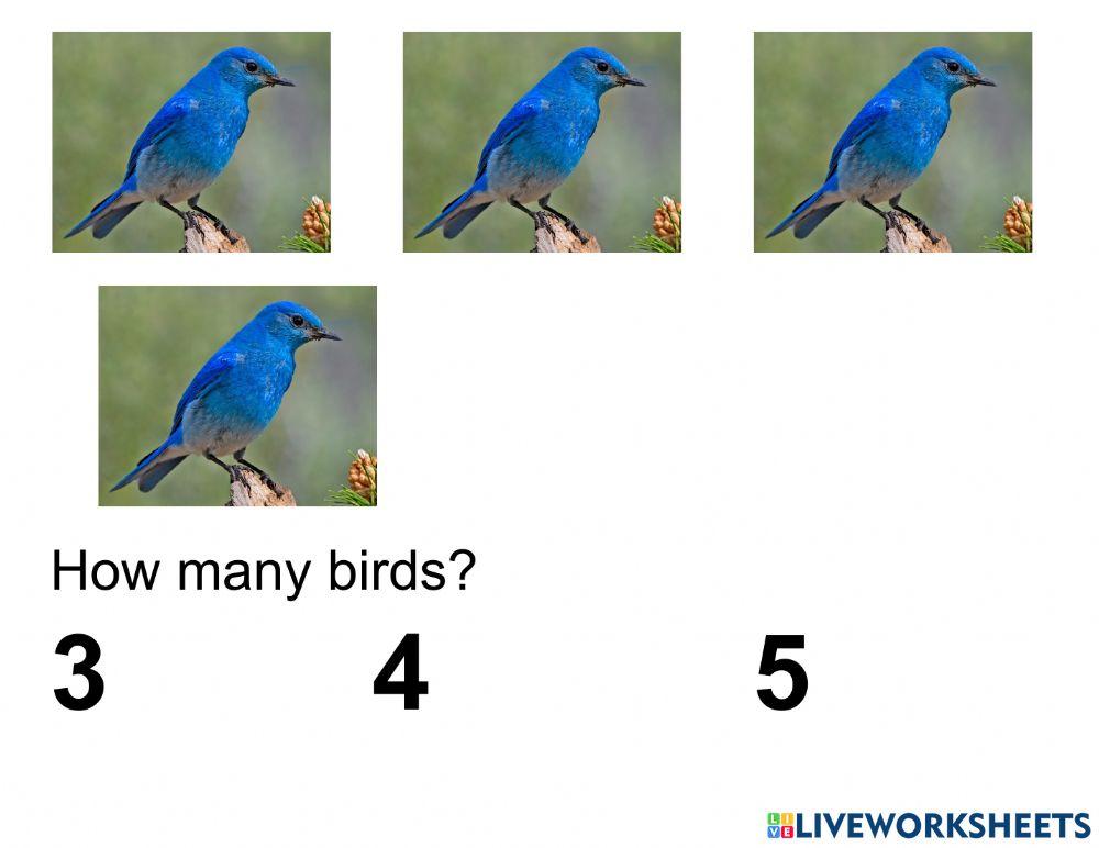 Counting To 5 Interactive Worksheet Live Worksheets counting-to-5-interactive-worksheet-live-worksheets
