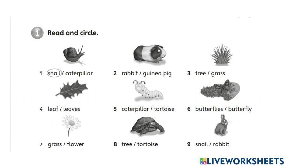 TEO-junior 2-MIDTERM worksheet | Live Worksheets