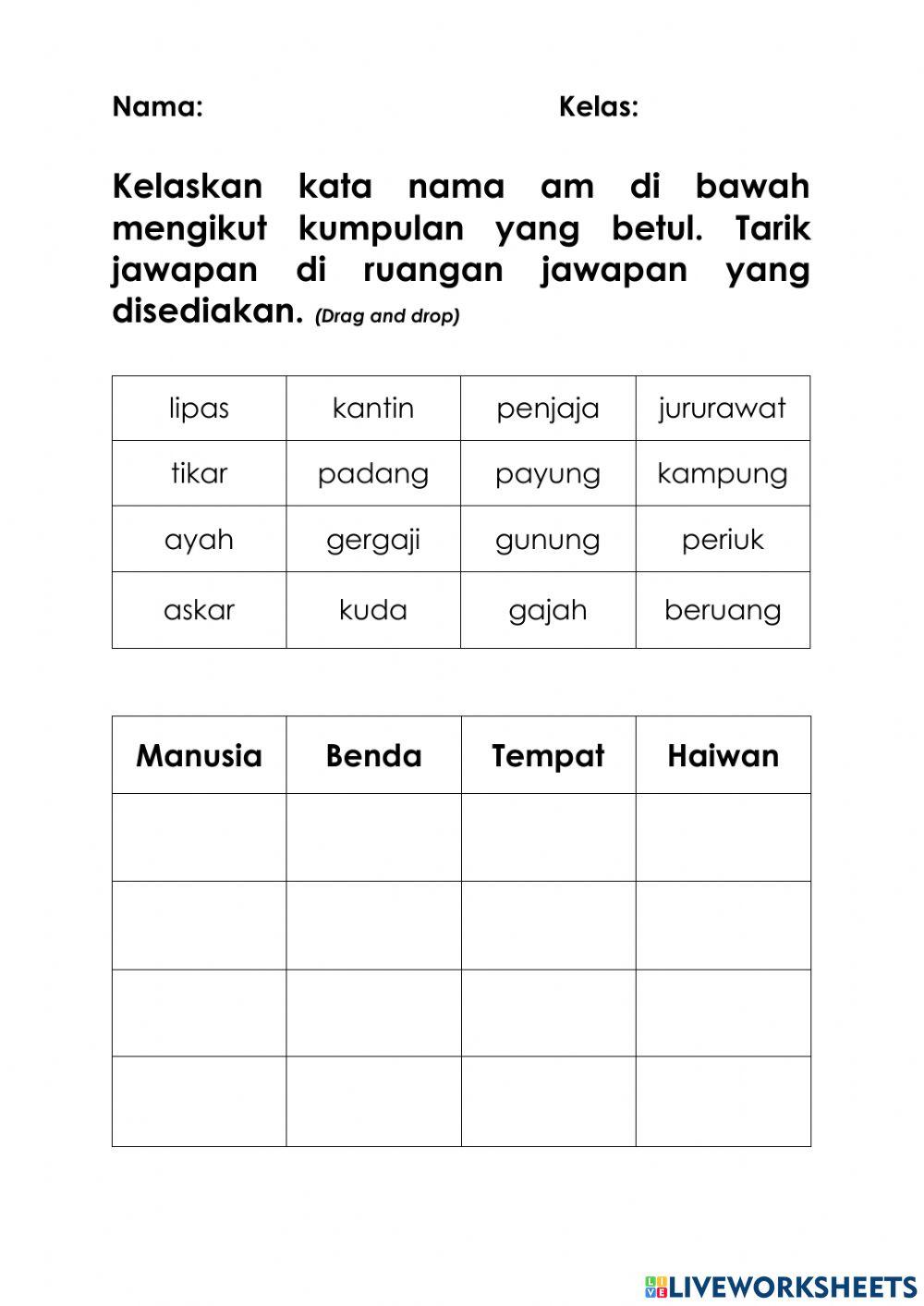 Kata nama am ta… | Free Interactive Worksheets | 714052