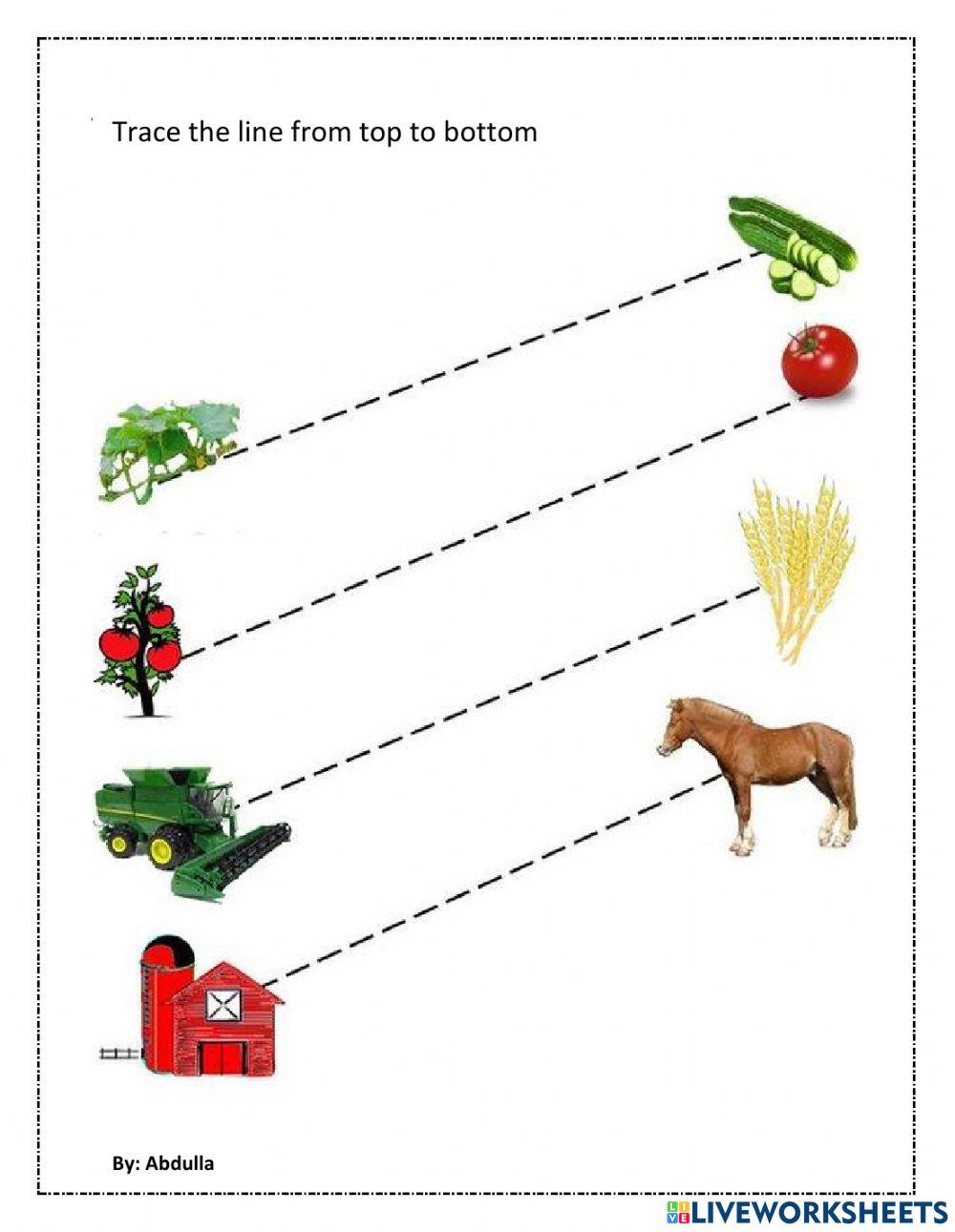 Tracing line exercise | Live Worksheets