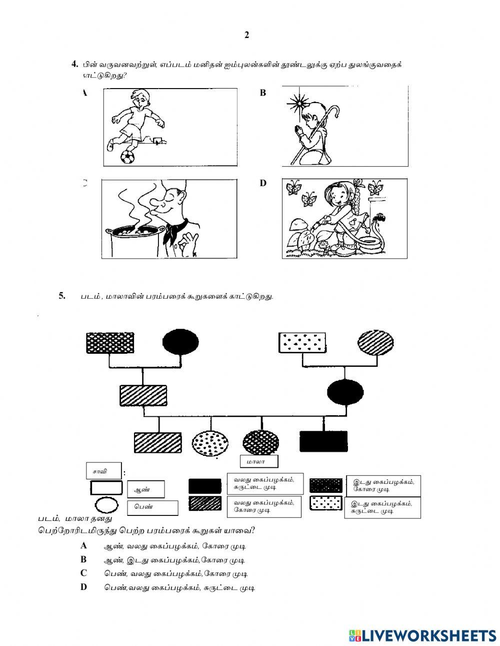 Pdf online activity: A | Live Worksheets