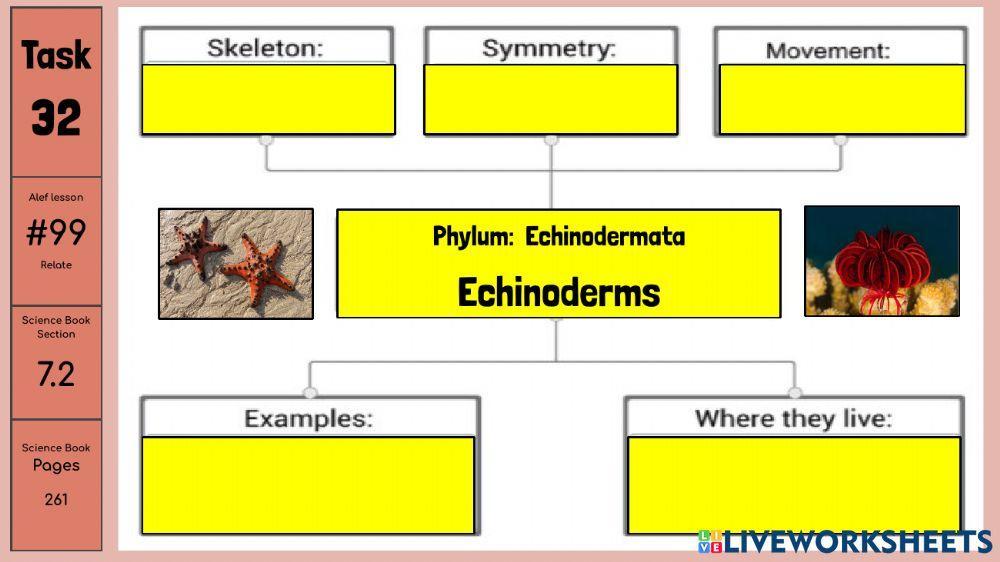 Echinoderms | Live Worksheets